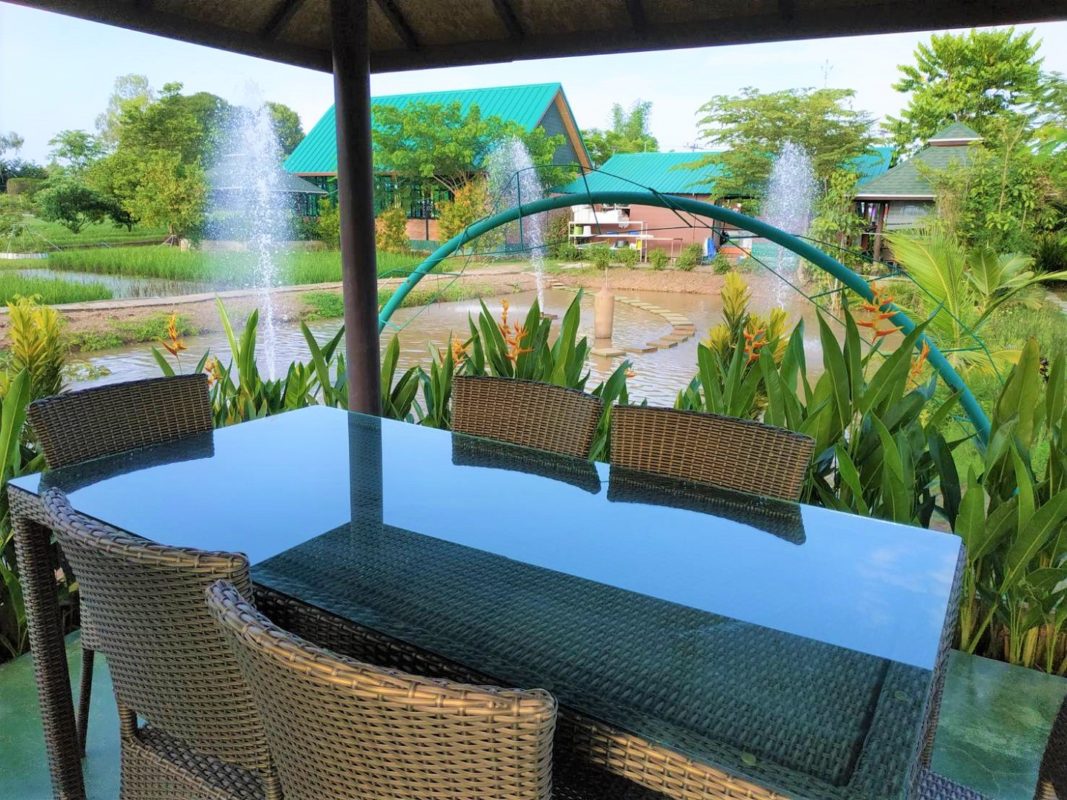 Gallery – Sabaidee Farm Chiang Rai