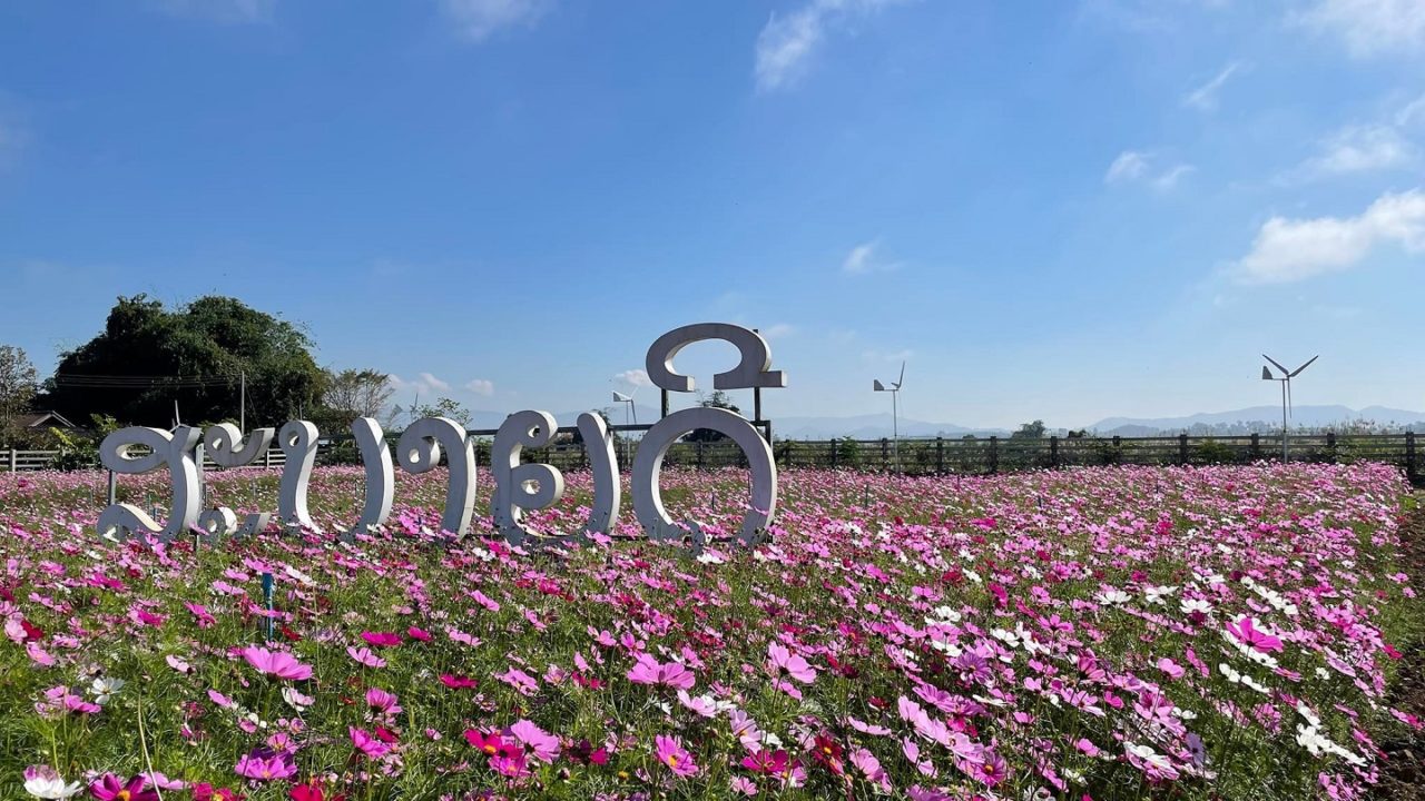 Gallery – Sabaidee Farm Chiang Rai